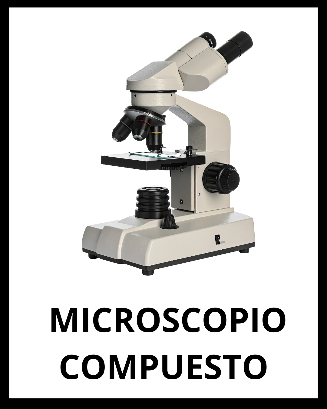 Tipos de microscopios - Guía completa y modelos 2025